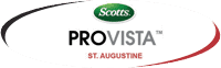 Scotts Provista St. Augustine Grass Brandon | Tampa Sod Farm